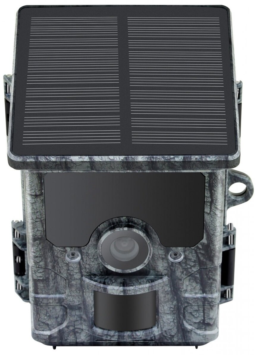 Fotopułapki – ranking [TOP10] | Poradnik Media Expert