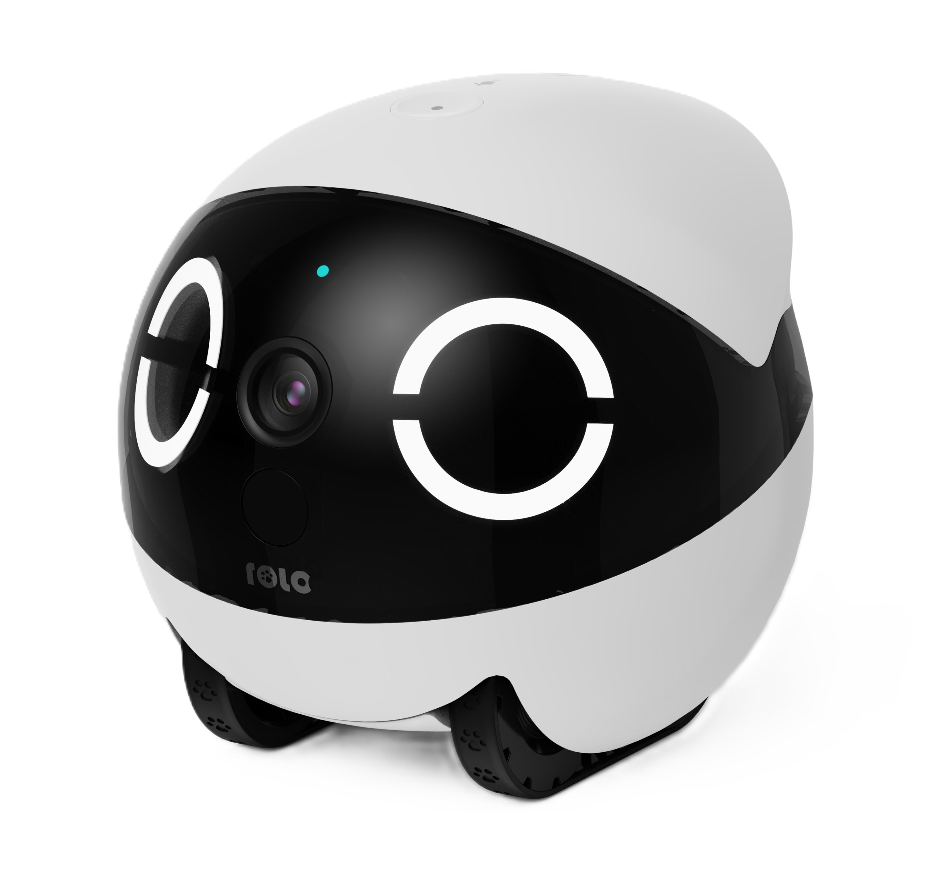 ENABOT Rola Mini Robot monitorujący dla zwierząt - niskie ceny i opinie ...