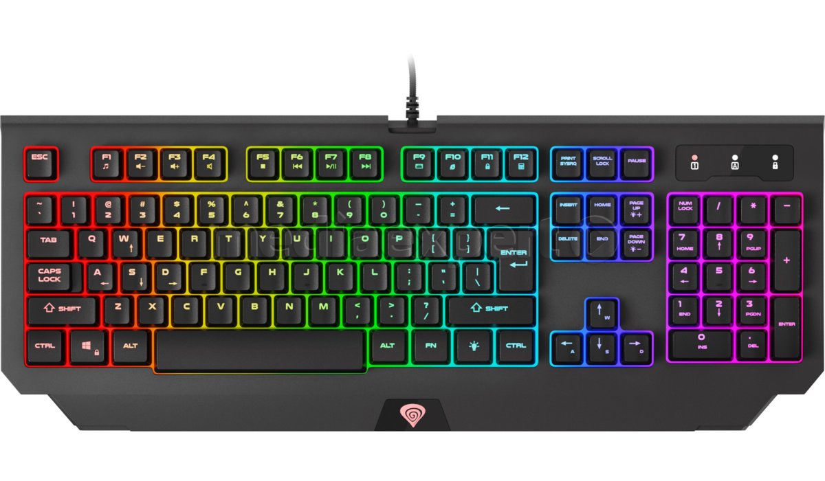 GENESIS Cobalt 330 4w1 Zestaw - ceny i opinie w Media Expert