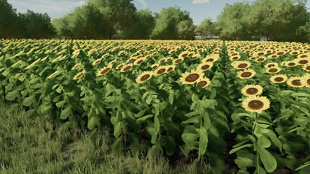Farming Simulator 22 Gra Pc Niskie Ceny I Opinie W Media Expert