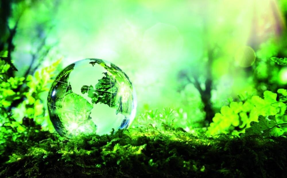 WHIRLPOOL W7F HS41 X Technologia 6.Zmysł, PowerCleanPro Zmywarka ...