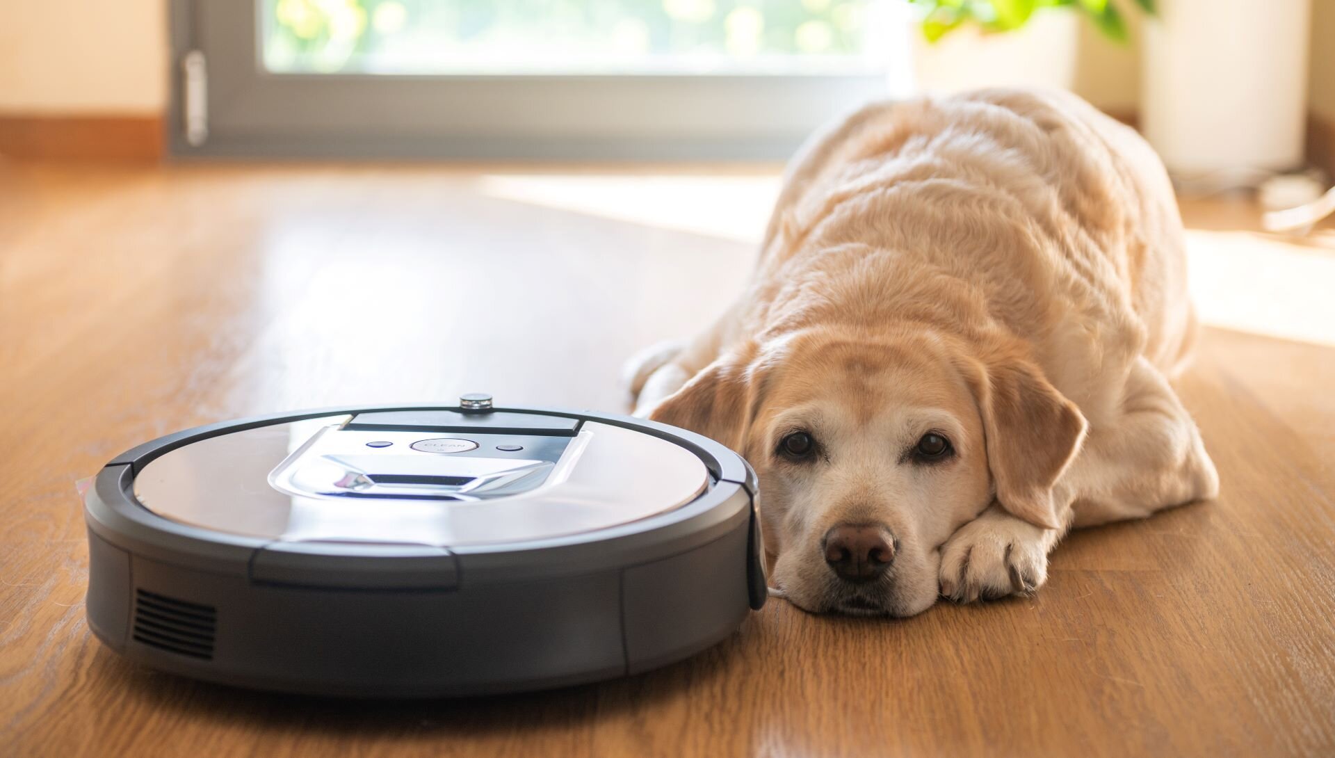 Robot sprzątający sierść psa - ranking [TOP10] | Poradnik Media Expert