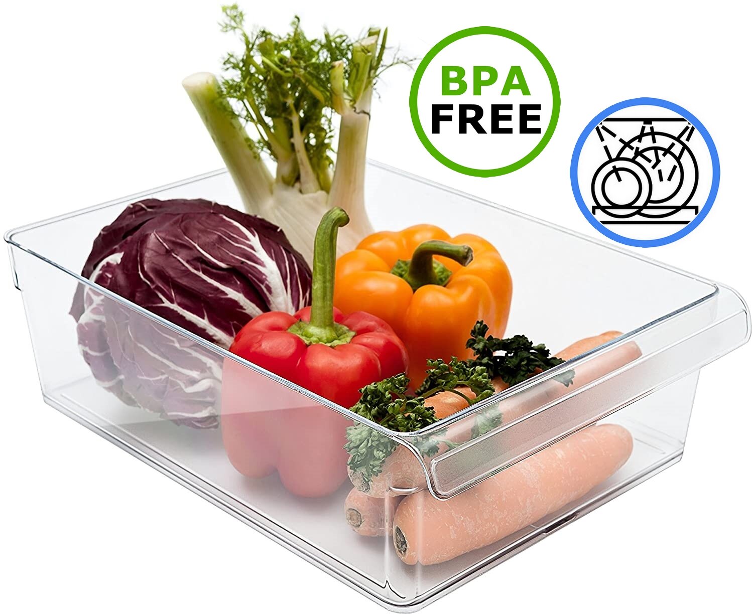 ROTHO Loft 5 L Organizer do lodówki - niskie ceny i opinie w Media Expert