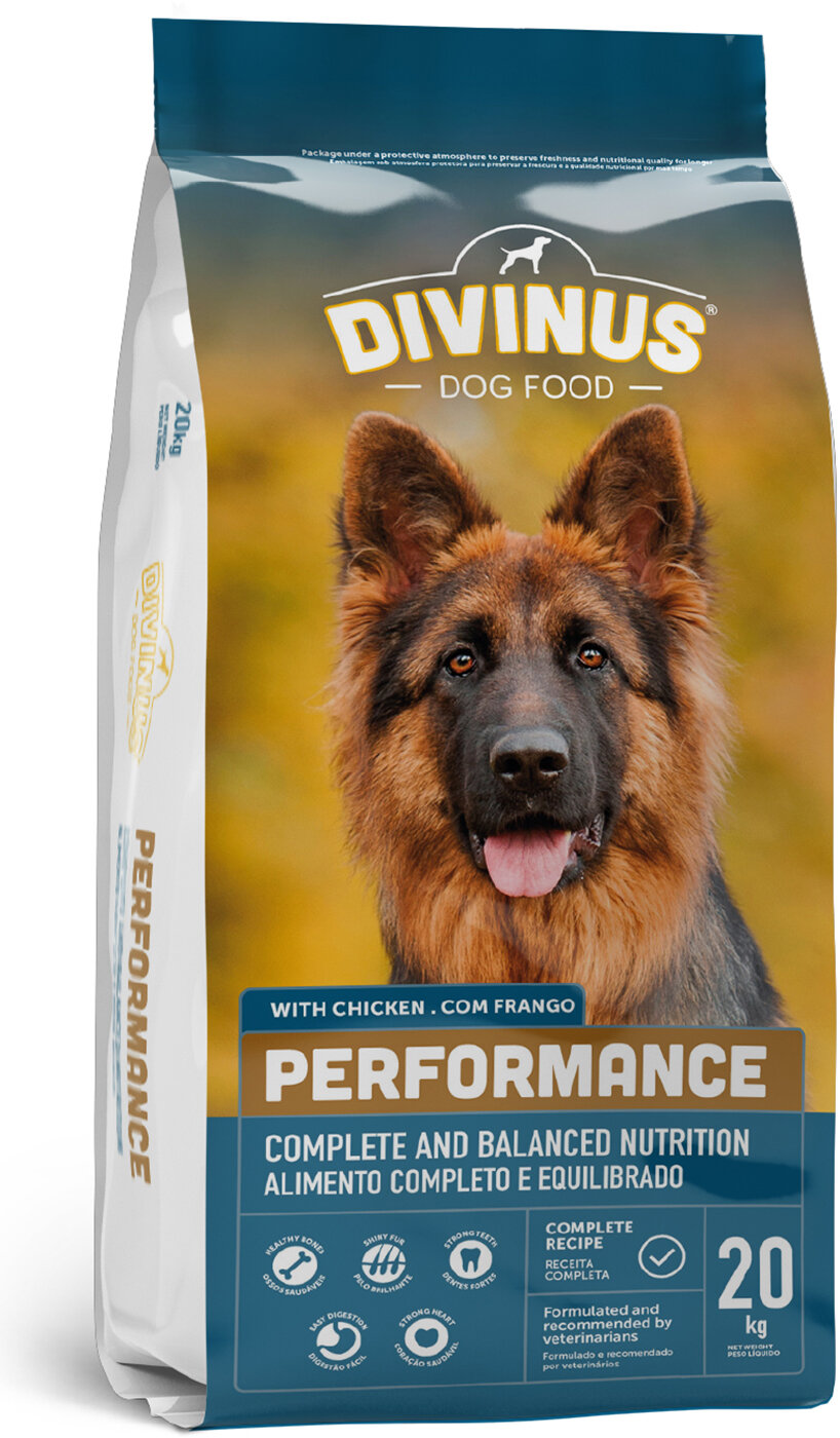 DIVINUS Performance Kurczak 20 kg Karma dla psa - niskie ceny i opinie w Media Expert
