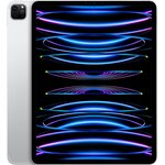 Ipad pro 12 9 256gb store